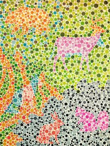 What Age Should Kids Know Colors?