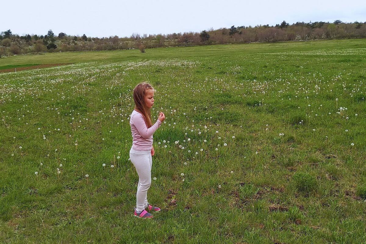 Nature Play Benefits for Kids: Boost Their Development