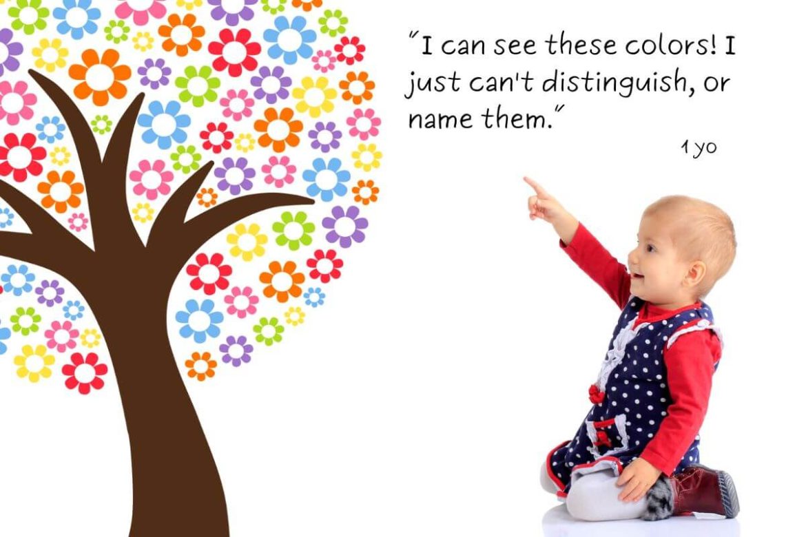 What Age Should Kids Know Colors?