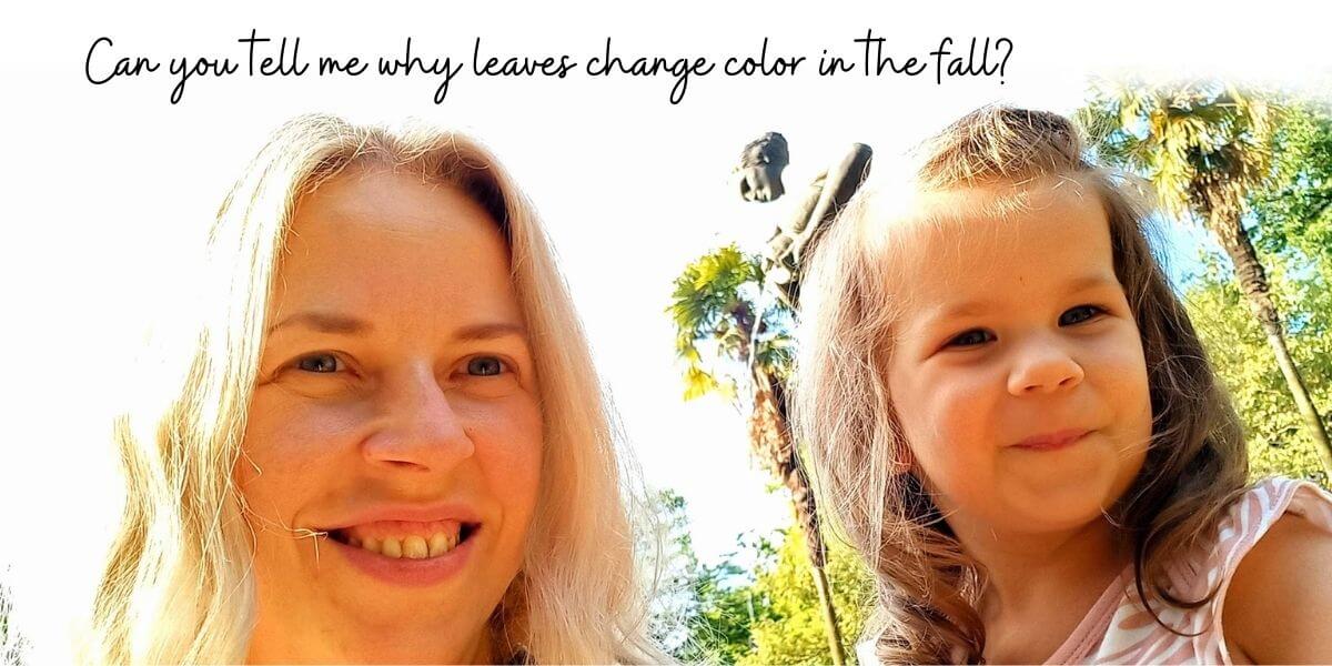 200 Questions To Ask Your Toddler or Preschooler - Have Fun!