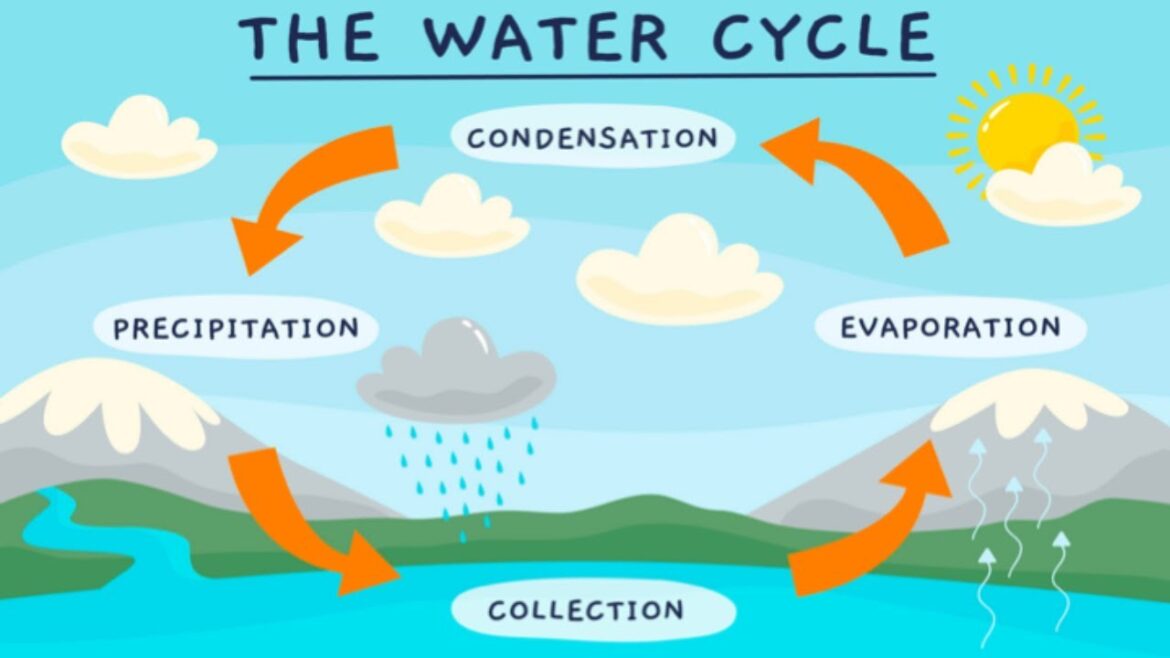 4 Stages of Water Cycle for Kids
